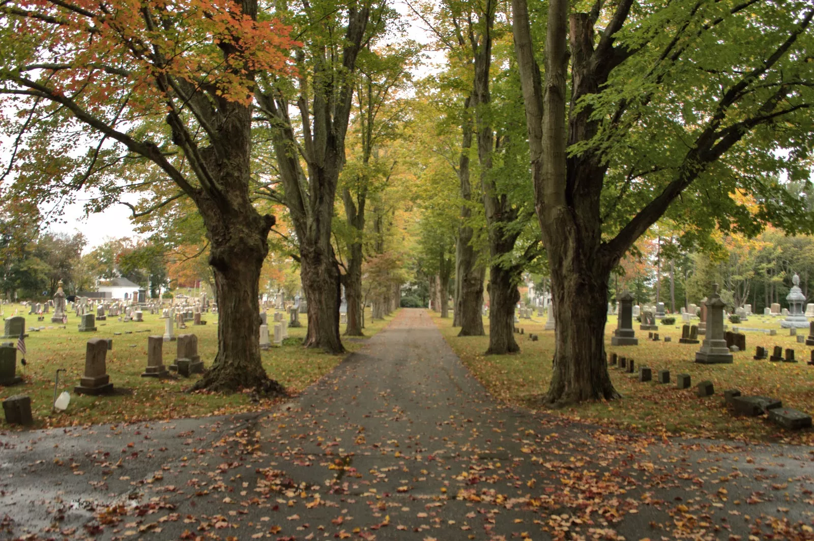 Cimetière de la première paroisse - Endroit Pour Prier